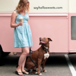 Hooked On People Interview: Say Hello Sweets + Vegan Coffee Ice Cream ...