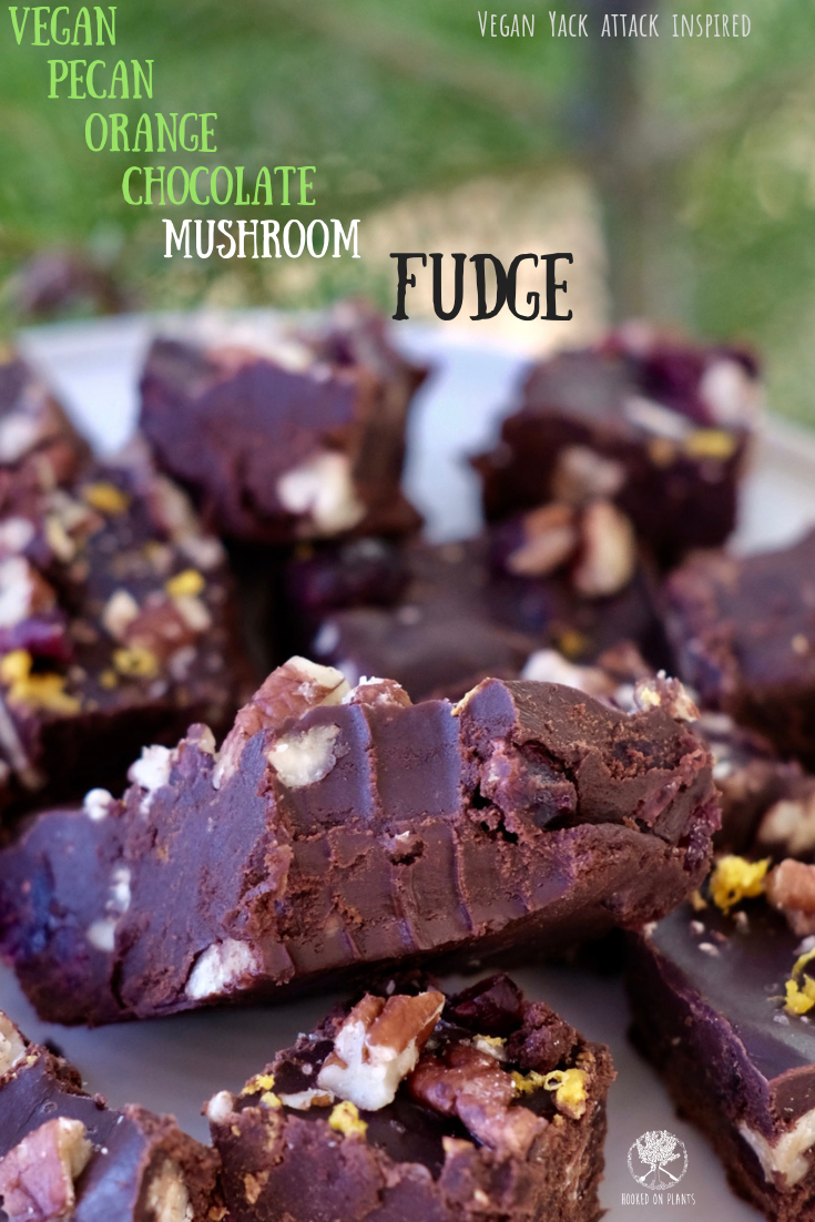 Orange Pecan Chocolate Mushroom Vegan Fudge