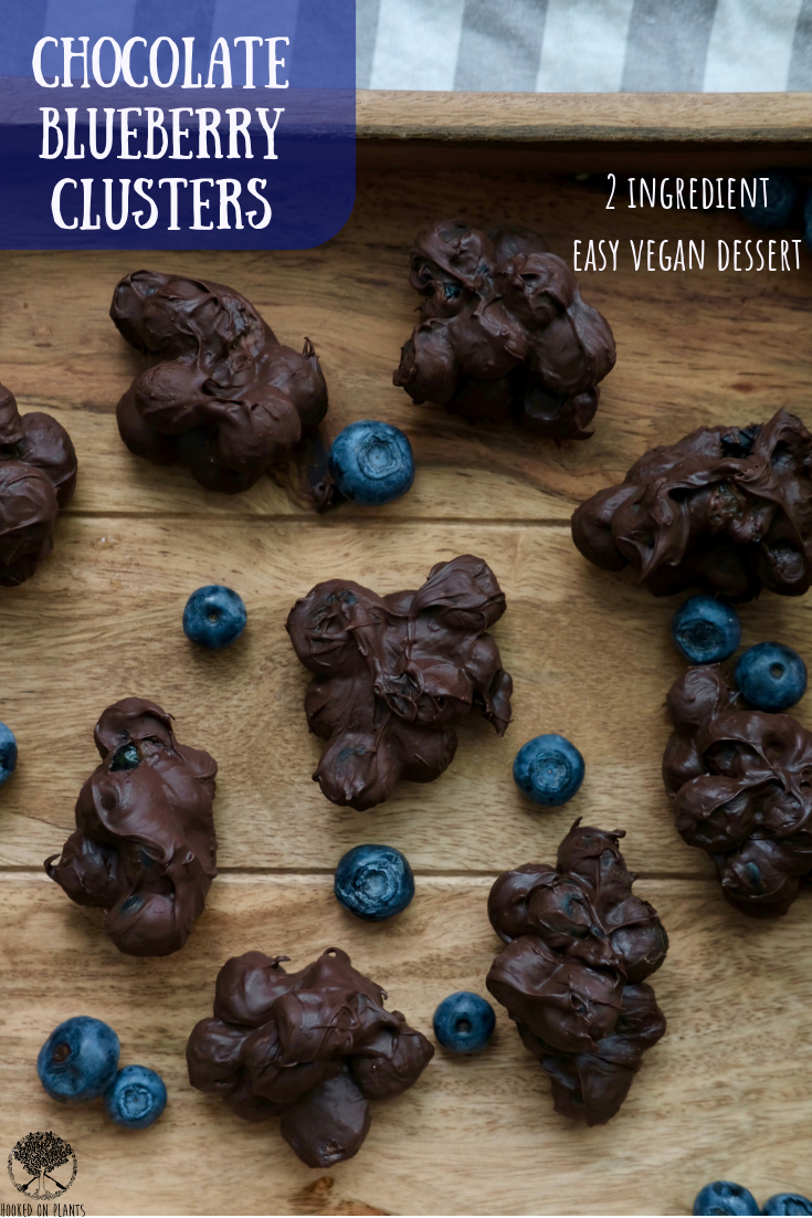 Delightful Chocolate Blueberry Clusters | Easy Vegan Dessert