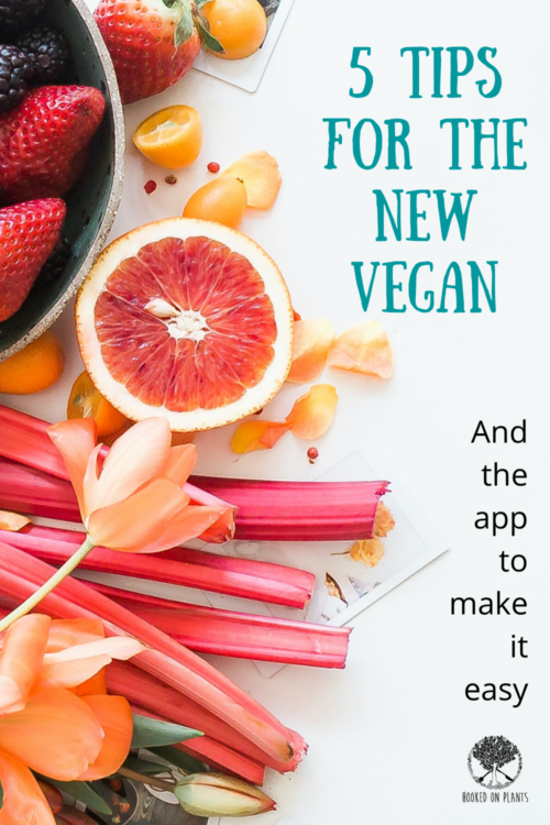 New Vegan? Here Are 5 Tips from a Veg-Curious Writer